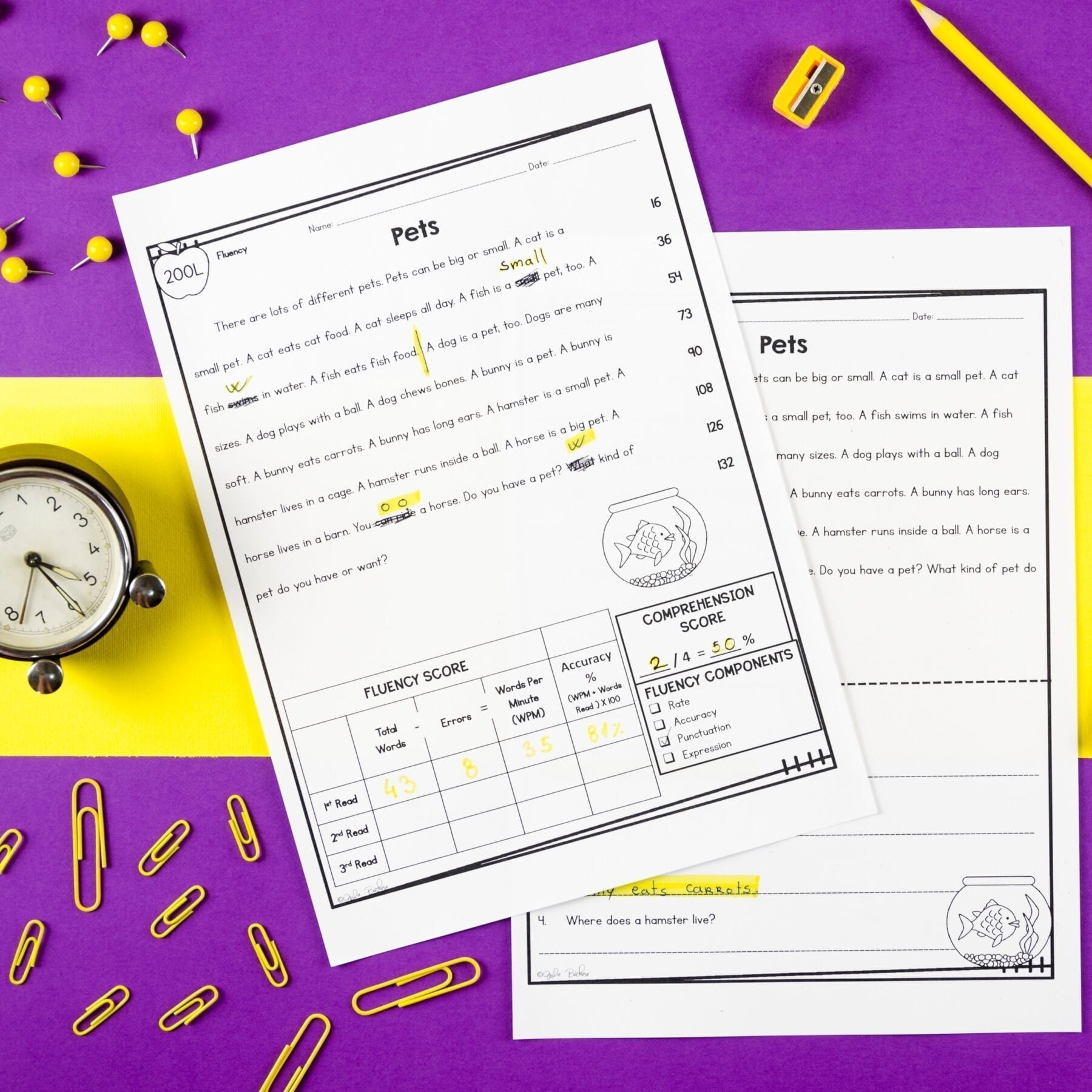 1st Grade Reading Fluency Passages MagiCore