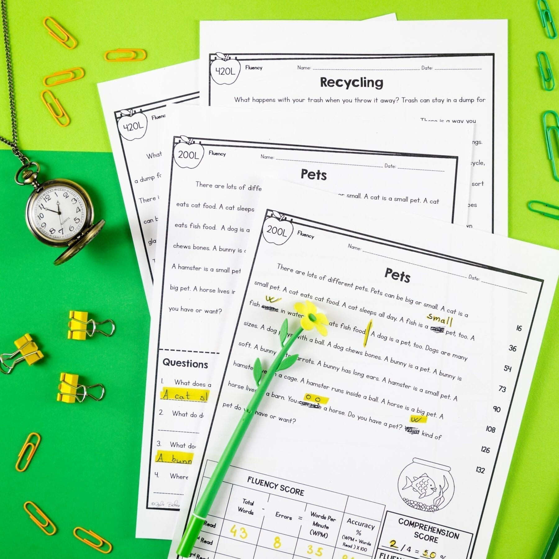1st Grade Reading Fluency Passages MagiCore