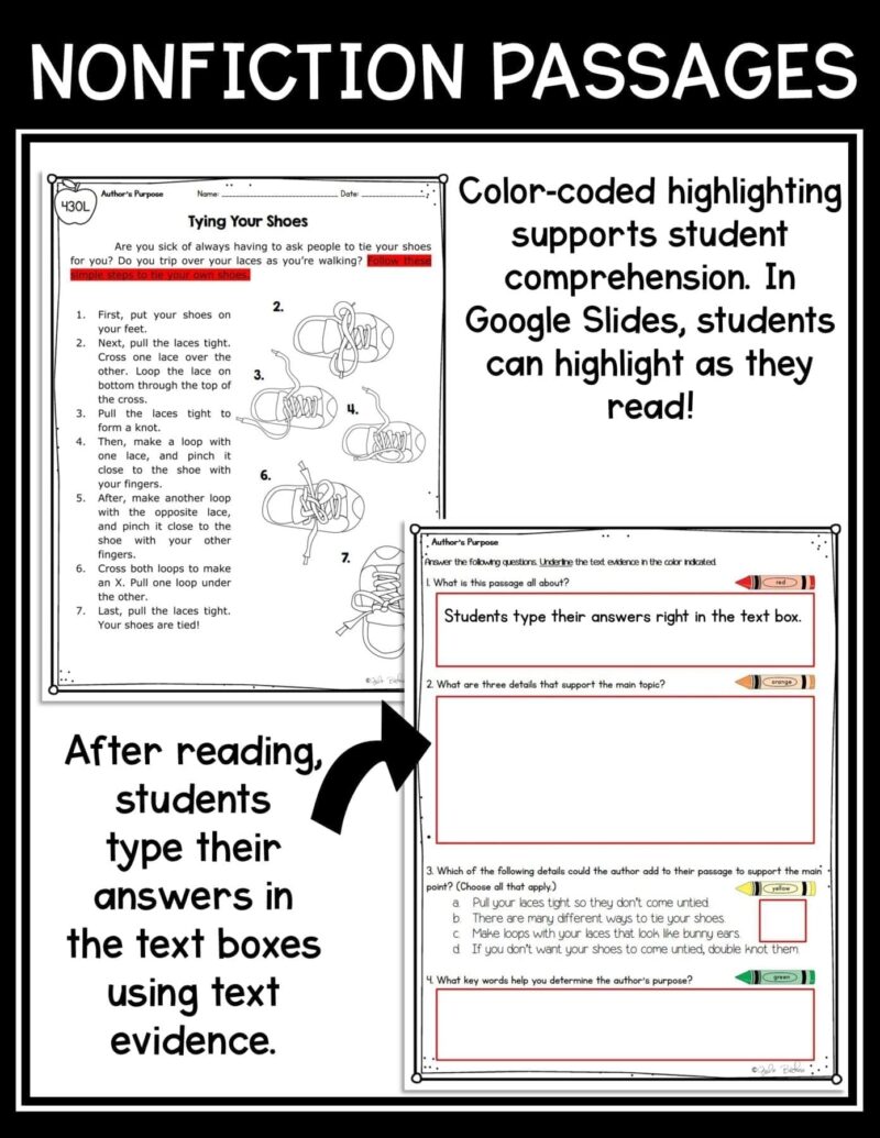 Author's Purpose 2nd Grade RI.2.6| Magicore