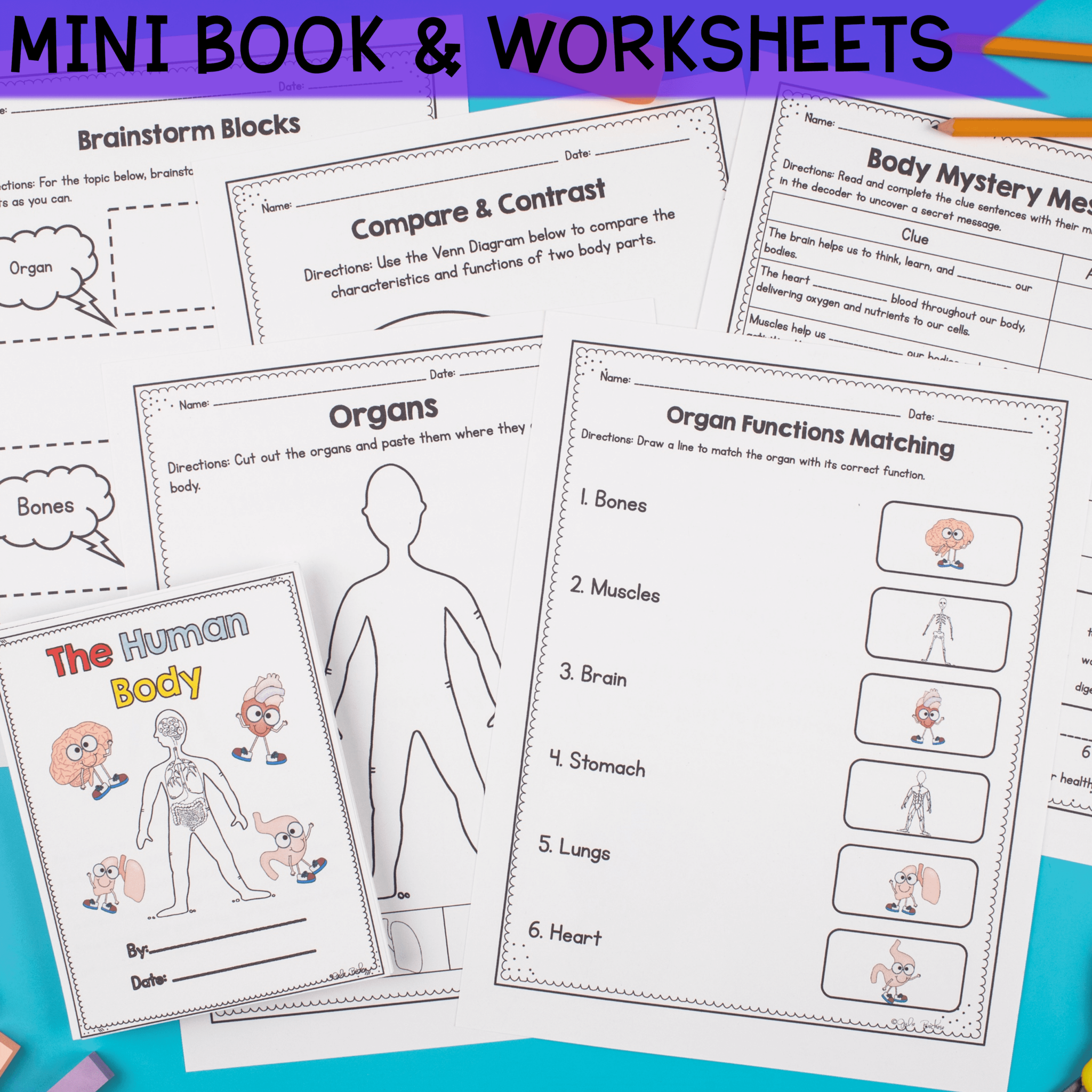The Human Body - 1st & 2nd Grade Science Unit | MagiCore