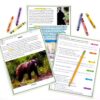 Main Idea & Details 2nd & 3rd Grade | MagiCore