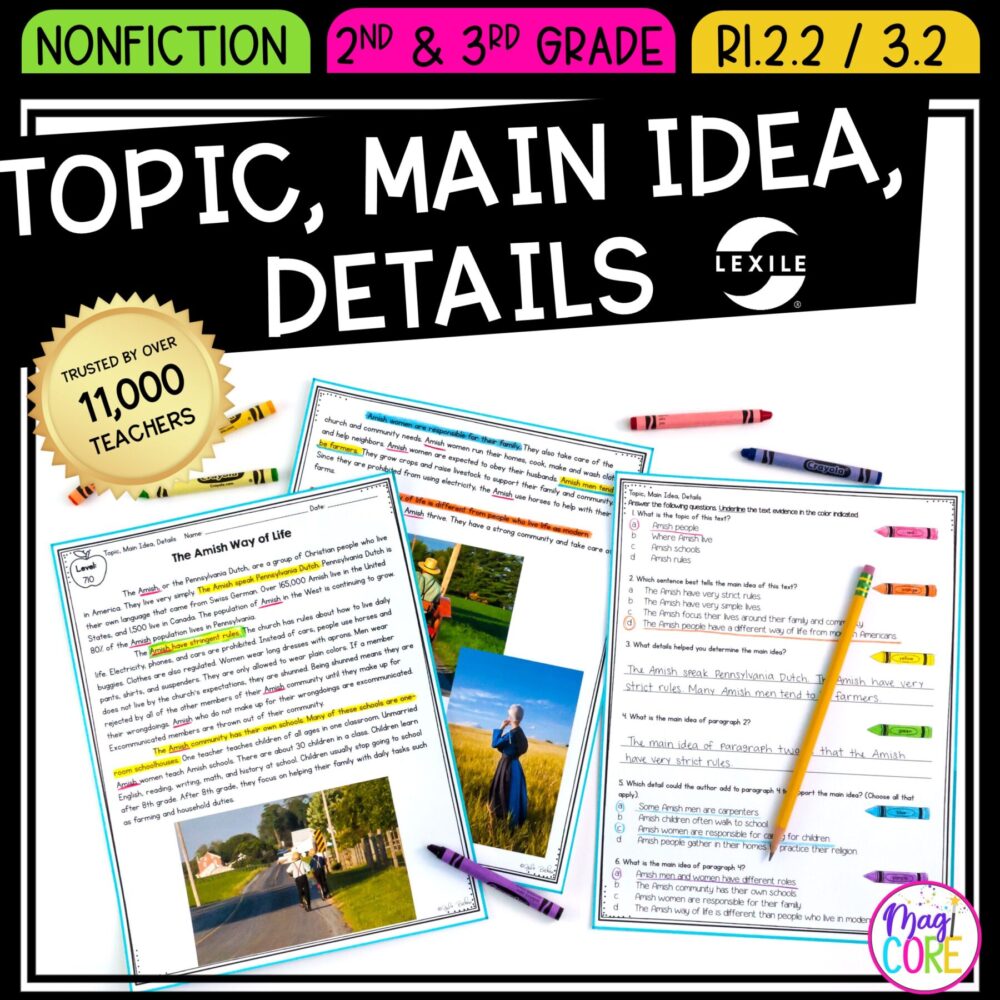 Main Idea & Details 2nd & 3rd Grade | MagiCore