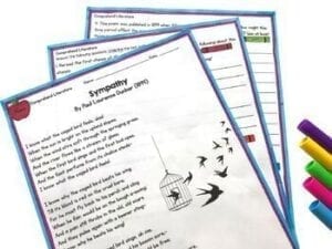 Comprehend Literature 4th & 5th Grade | MagiCore