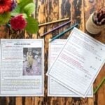 Text Structure in Nonfiction 4th Grade | Magicore