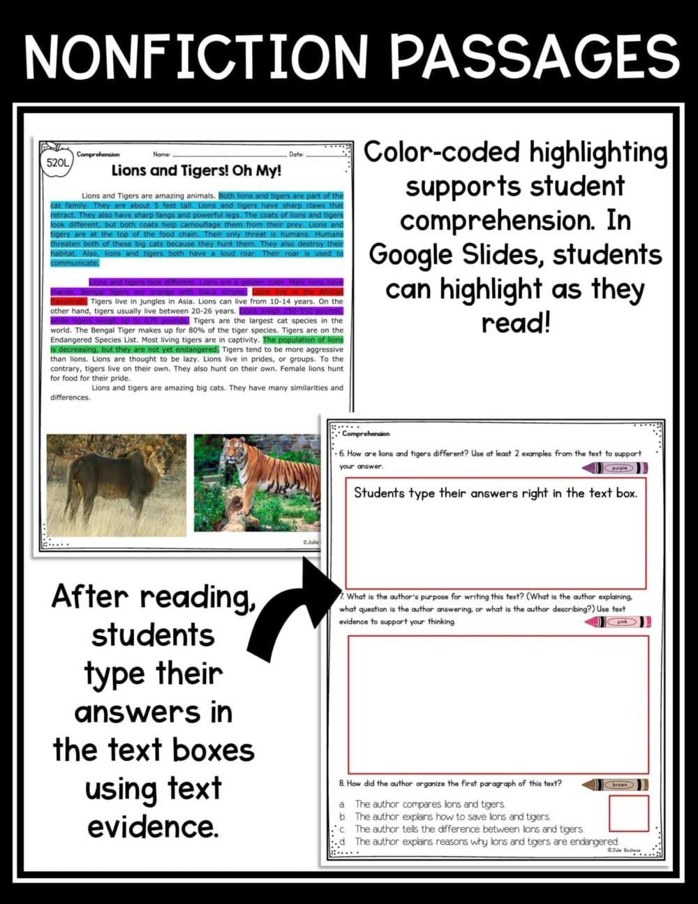 Comprehend Informational Text RI.2.10 RI.3.10| MagiCore