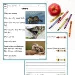 Reasons Support Points - 1st Grade RI.1.8 | MagiCore