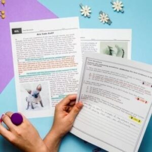 Text Structure 6th Grade RI.6.5| MagiCore