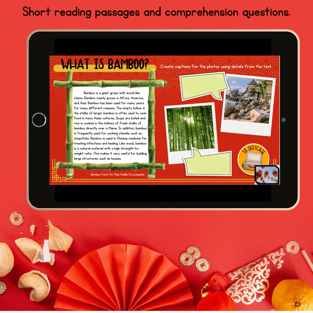 Virtual Field Trip: Chinese Lunar New Year | MagiCore
