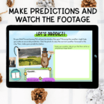 Virtual Field Trip Groundhog Day Digital Resource Activity Feb.| MagiCore