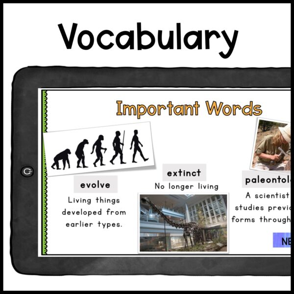 Virtual Field Trip: Dinosaurs for 1st Grade | MagiCore