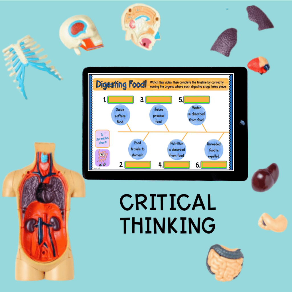 Virtual Field Trip: Human Body | MagiCore