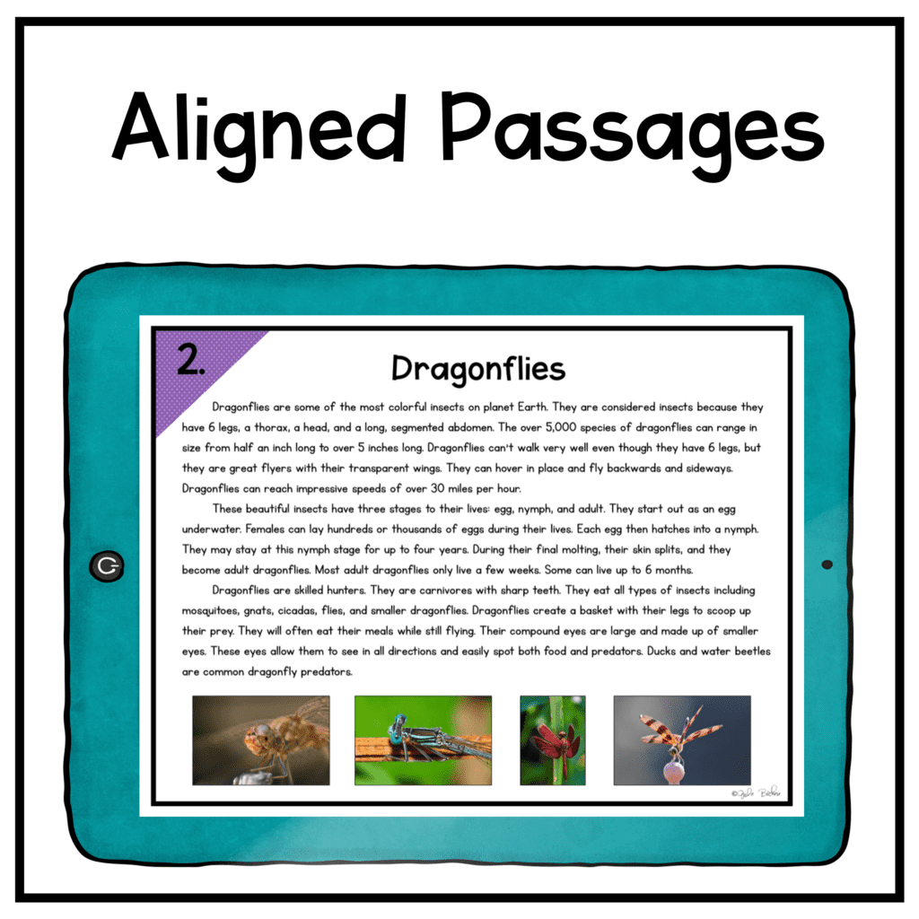 Whodunit Reading Review Escape Room - 2nd & 3rd Grade | MagiCore