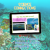 Virtual Field Trip to the Great Barrier Reef | MagiCore