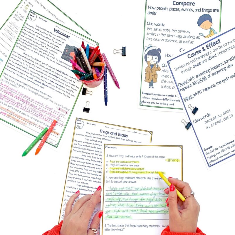 Text Structure - 3rd Grade - ELA.3.R.2.1 | MagiCore