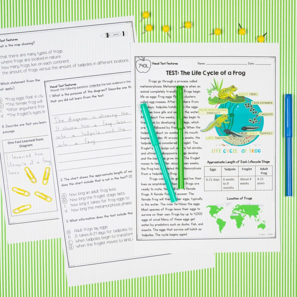 Text Features & Structure - 5th Grade - FL BEST ELA.5.R.2.1 | MagiCore