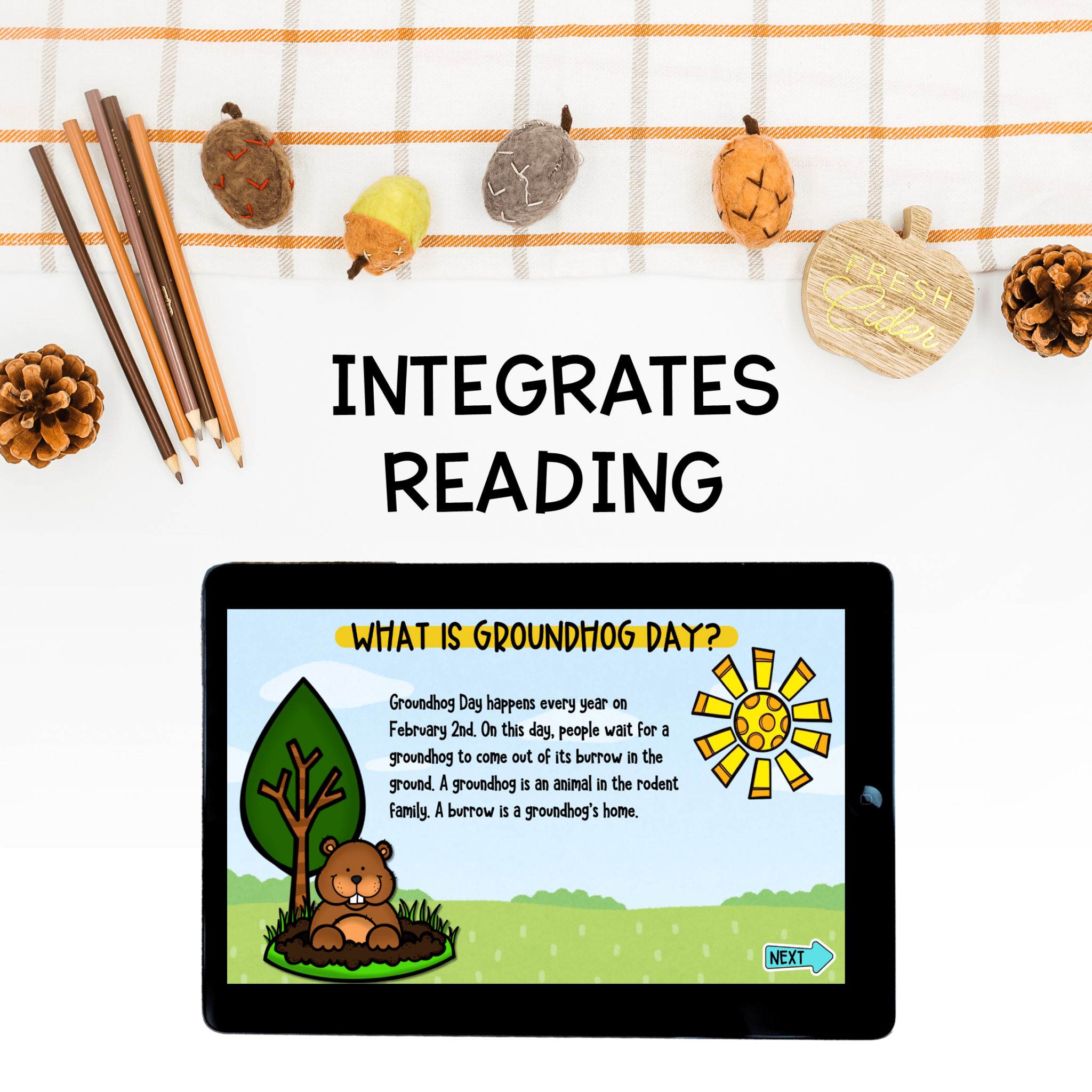 Groundhog Day Virtual Field Trip - Primary K-1 | MagiCore