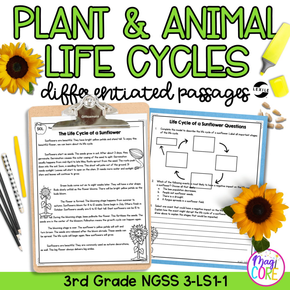 Plant & Animal Life Cycles - 3-LS1-1 | MagiCore