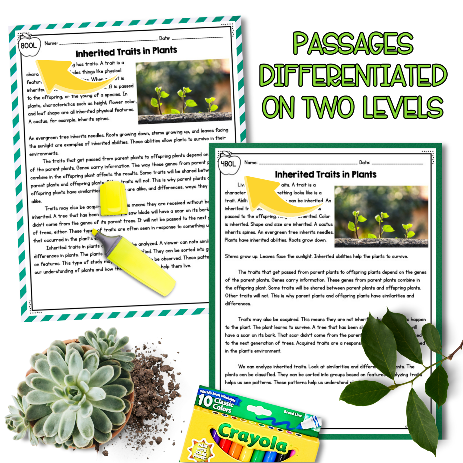 Inherited Traits NGSS 3-LS3-1 Science Differentiated Passages | MagiCore
