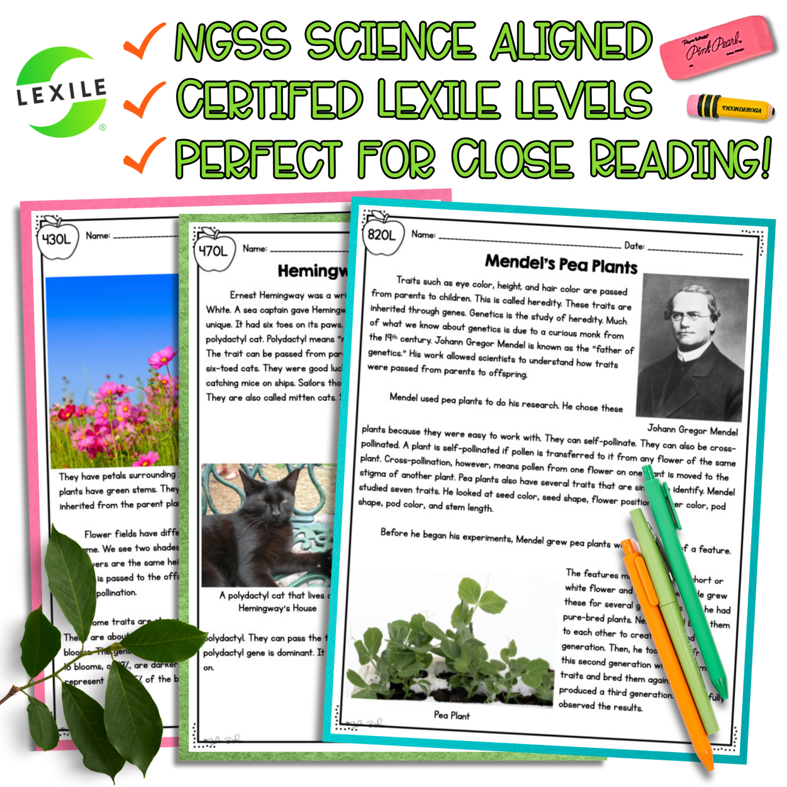 Inherited Traits NGSS 3-LS3-1 Science Differentiated Passages | MagiCore