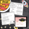 Earth Day Fun Bundle - 2nd Grade | MagiCore