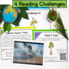 Earth Day Fun Bundle - 2nd Grade | MagiCore