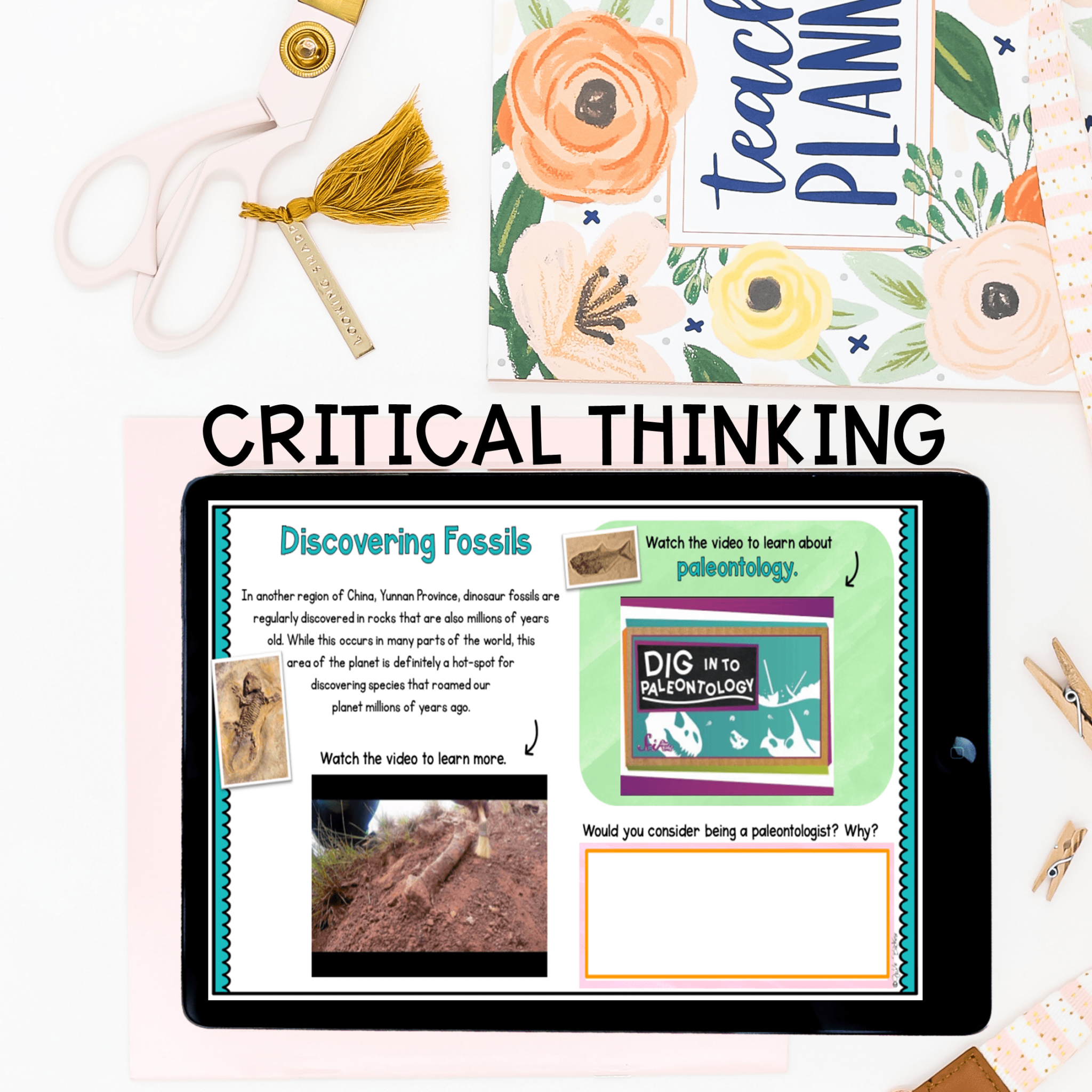 Virtual Field Trip Rocks Erosion Fossils Digital Resource Activity ...
