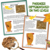 Differentiated Passages: Fossil Evidence of Past Environments | MagiCore
