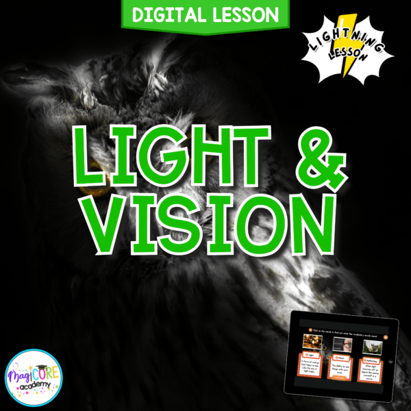 Light and Vision Digital Science Activity 4th Grade NGSS 4-PS4-2 | MagiCore